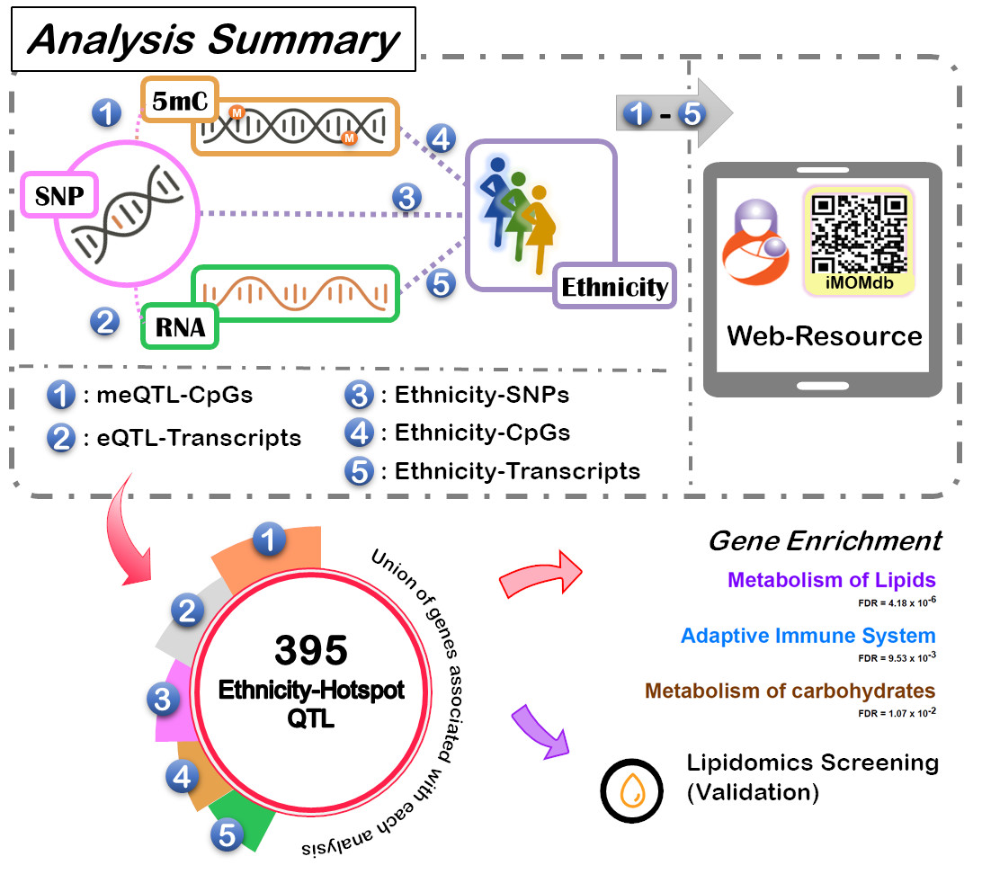 Integrative Multi-OMics Pregnancy Database